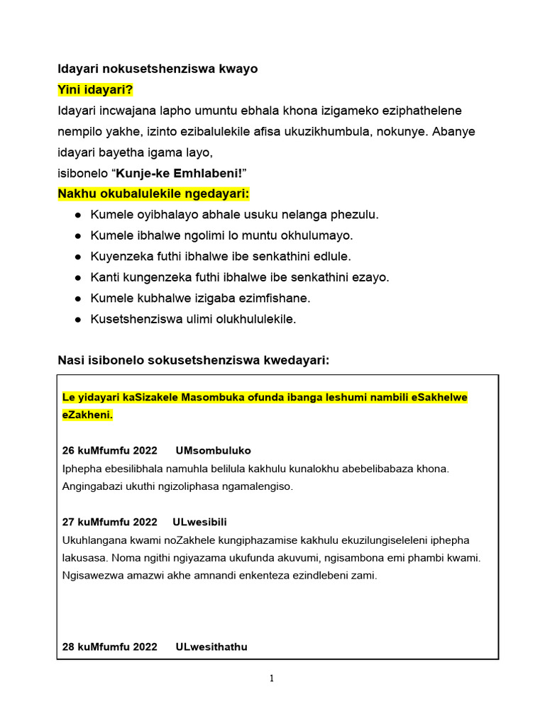 Ukubhala Idayari: Isibonelo Nezindlela | PDF
