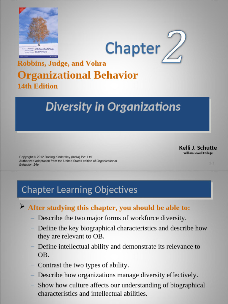 Diversity in Organization (DIVERSITY) | PDF