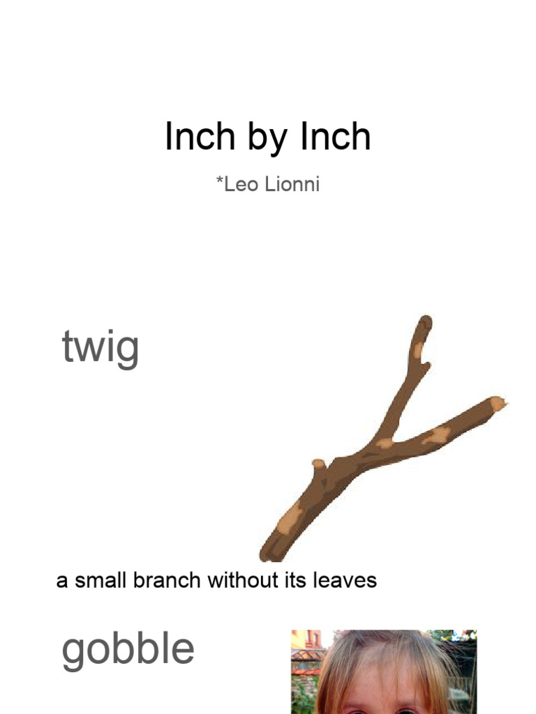 Inch by Inch Vocabulary | PDF | General Fiction