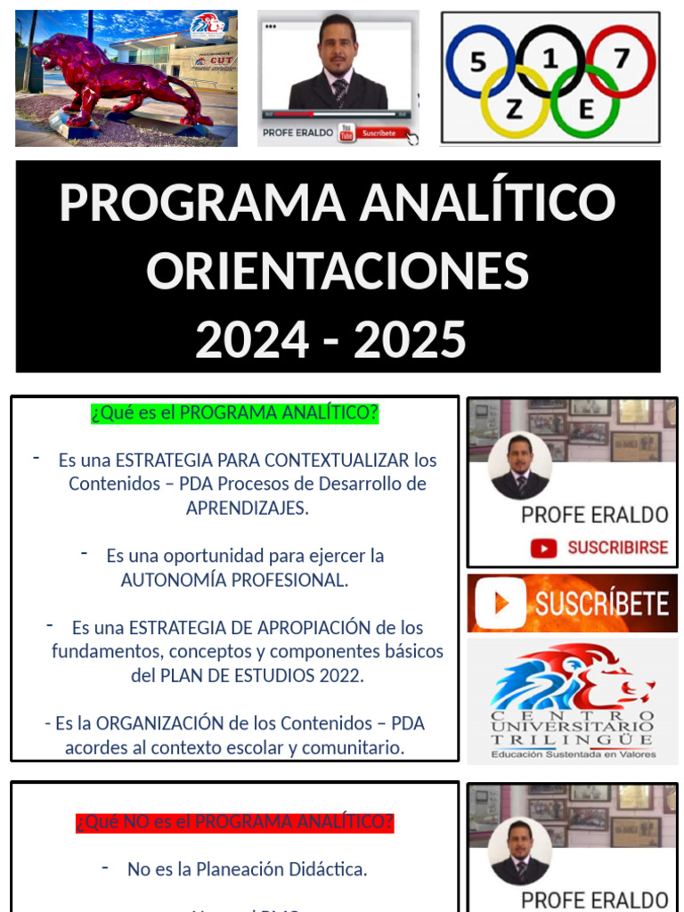 ¿Que Es El Programa Analítico 2024-2025¿ | PDF
