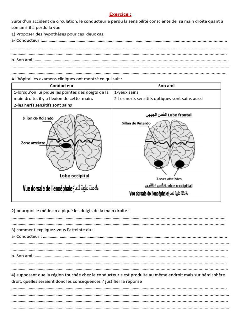 Je Partage Chaabi1 - Série D'exercices Système Nerveux Avec Vous | PDF