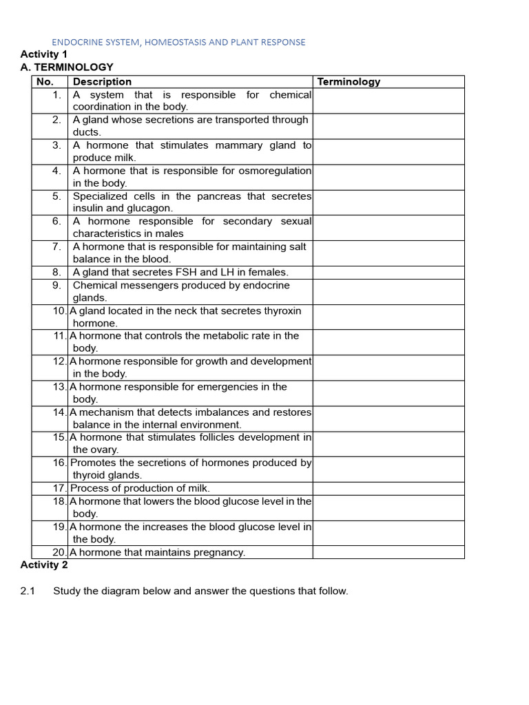 Endocrine System & Auxins Questions | PDF | Hormone | Wellness