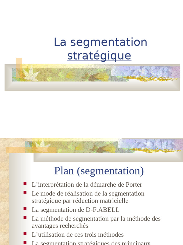 La Segmentation Stratégique | PDF