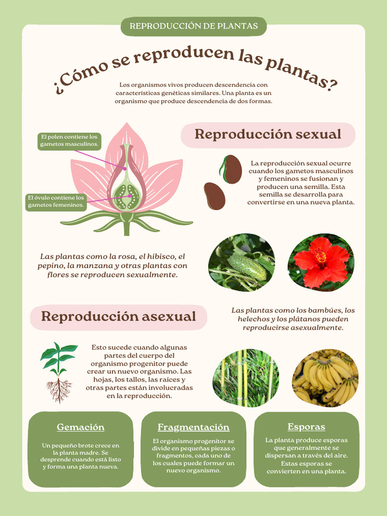 Education Poster (Portrait) - Science | PDF