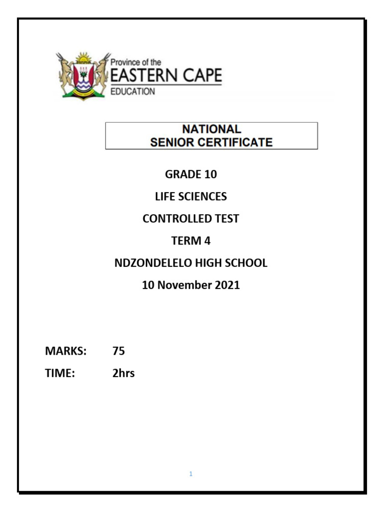 GRADE 10 Paper 1 Exam 2021 | PDF