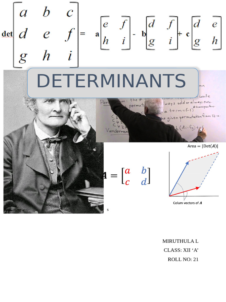 Determinants | PDF