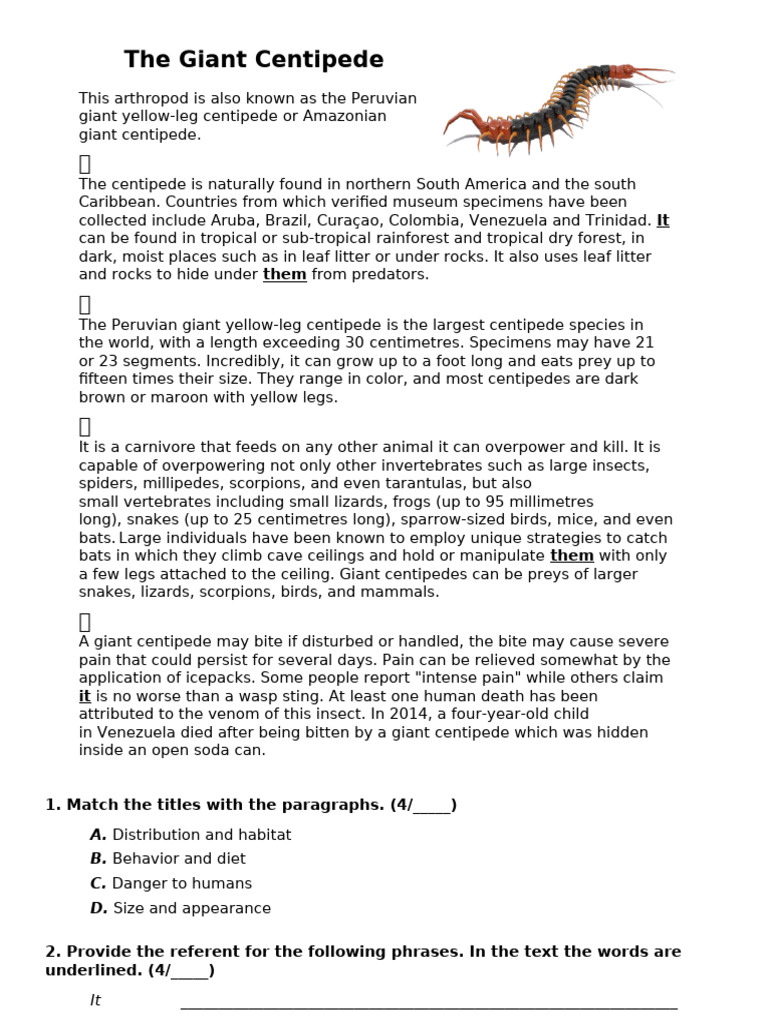 The Giant Centipede | PDF