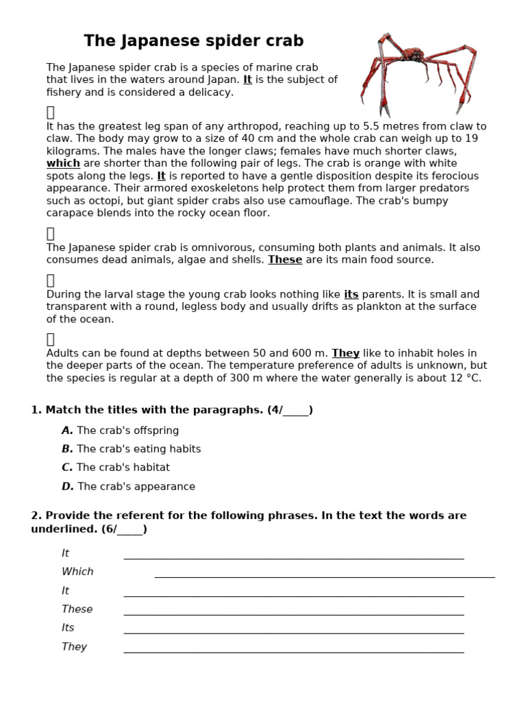 The Japanese Spider Crab | PDF