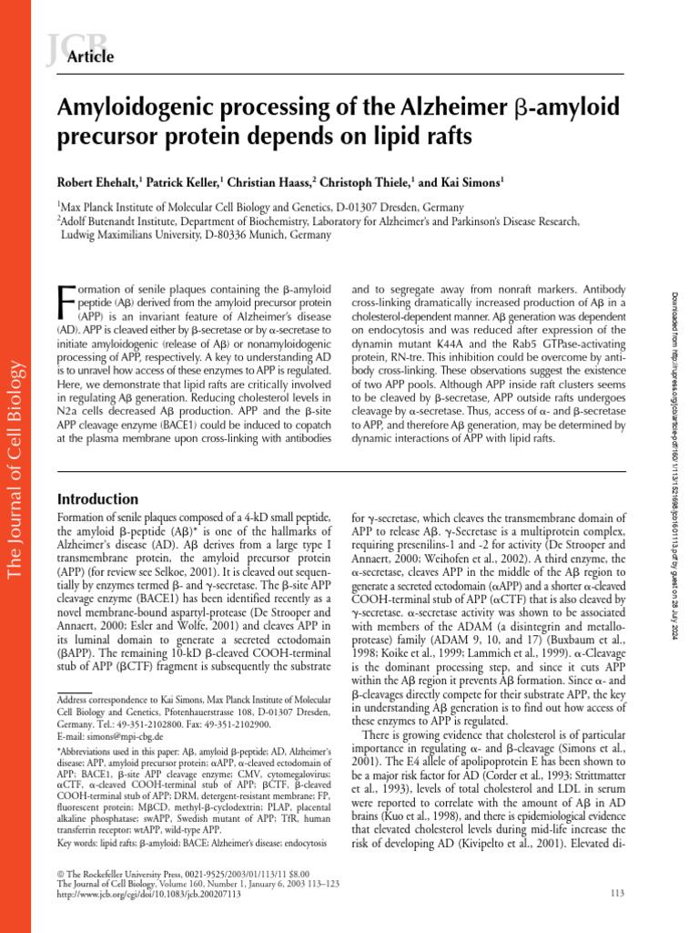 Amyloidogenic Processing of The Alzheimer - Amyloid Precursor Protein ...