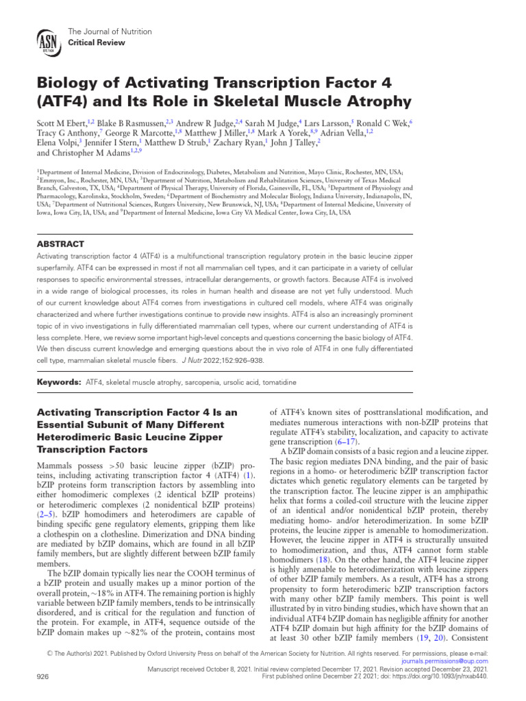 Review ATF4 Regulated Mechanism | PDF
