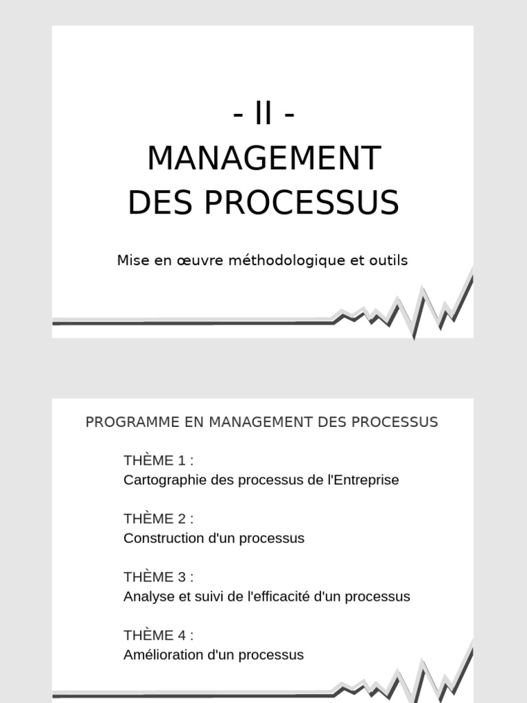 Management Des Processus 2 | PDF