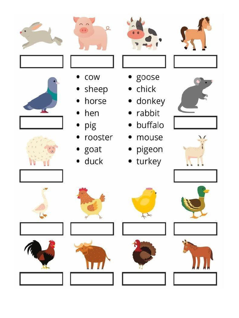 Farm Animals | PDF
