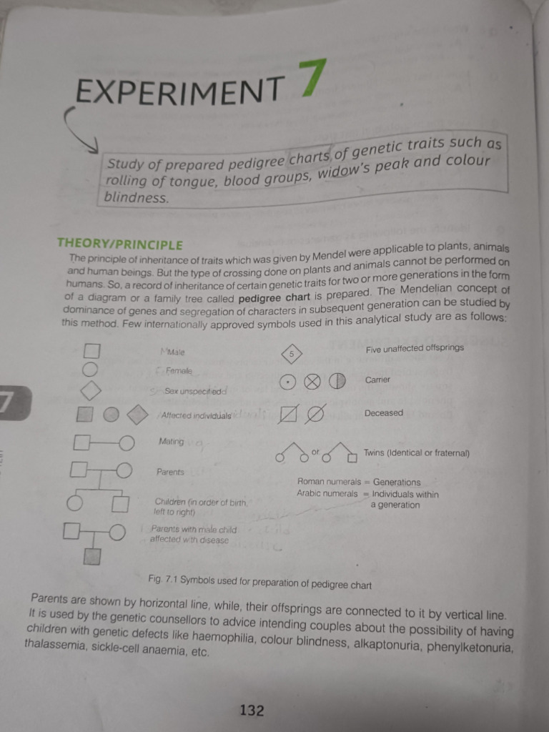 Experiment 7 Spotting | PDF