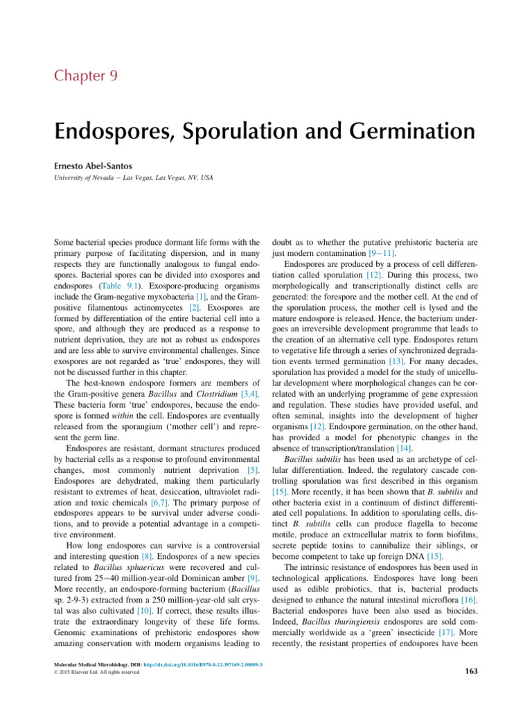 Endospores, Sporulation and Germination | PDF