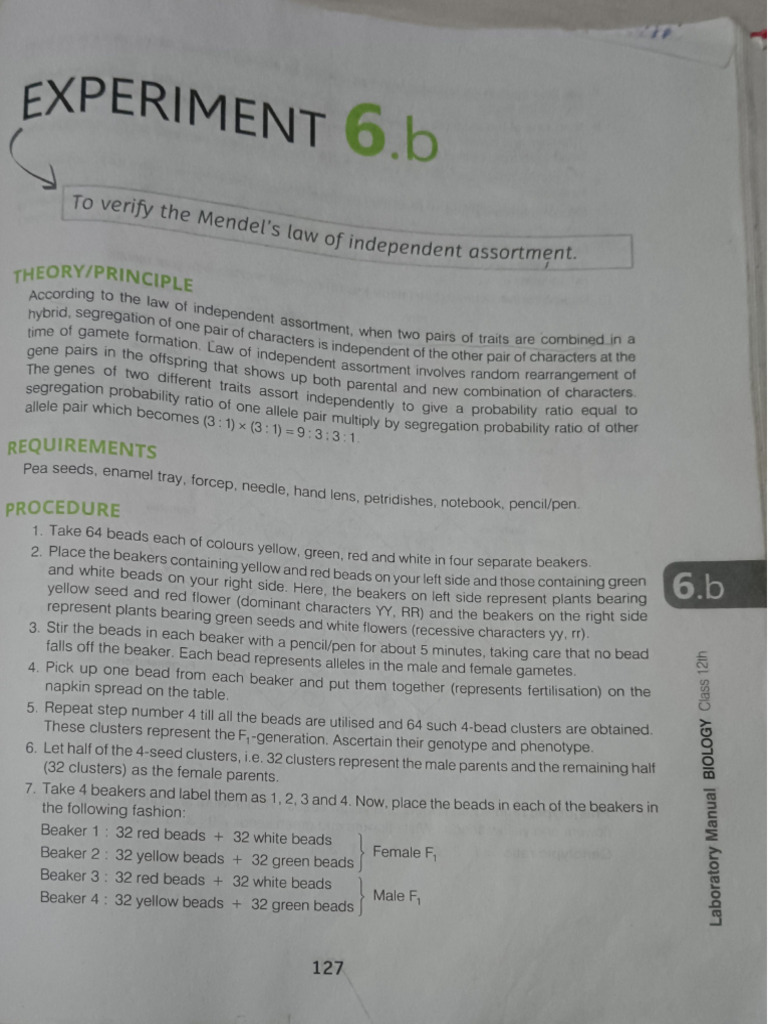 experiment 6 (b) spotting | PDF