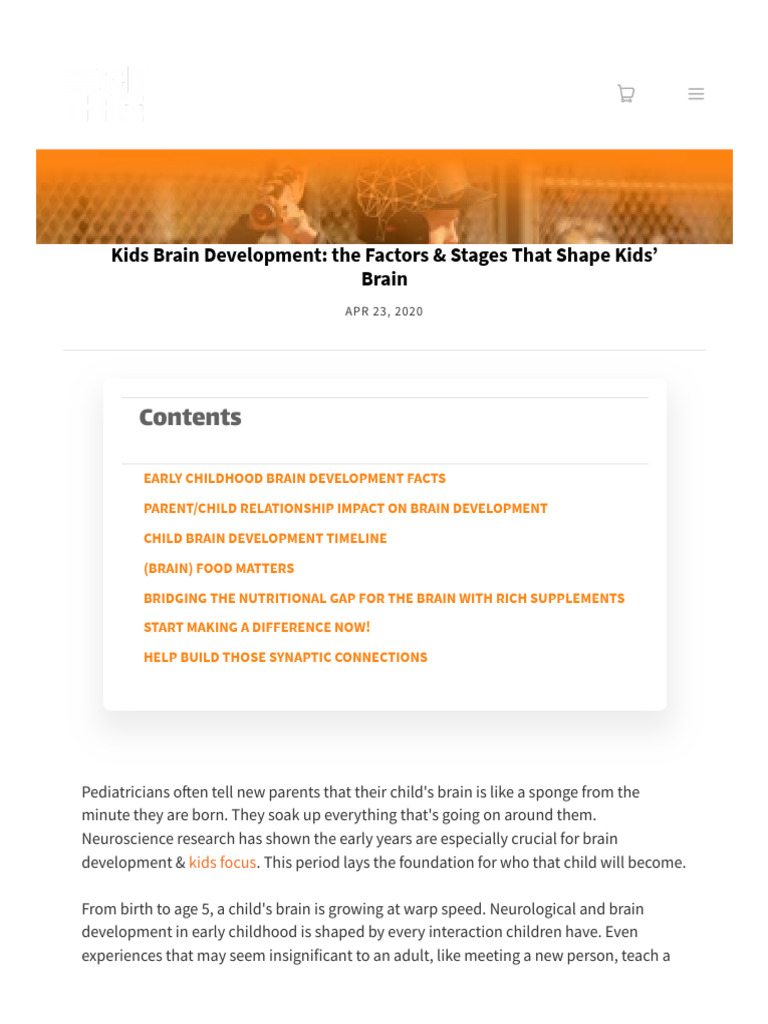 Kids' Brain Development Stages & Factors | PDF | Adolescence | Brain