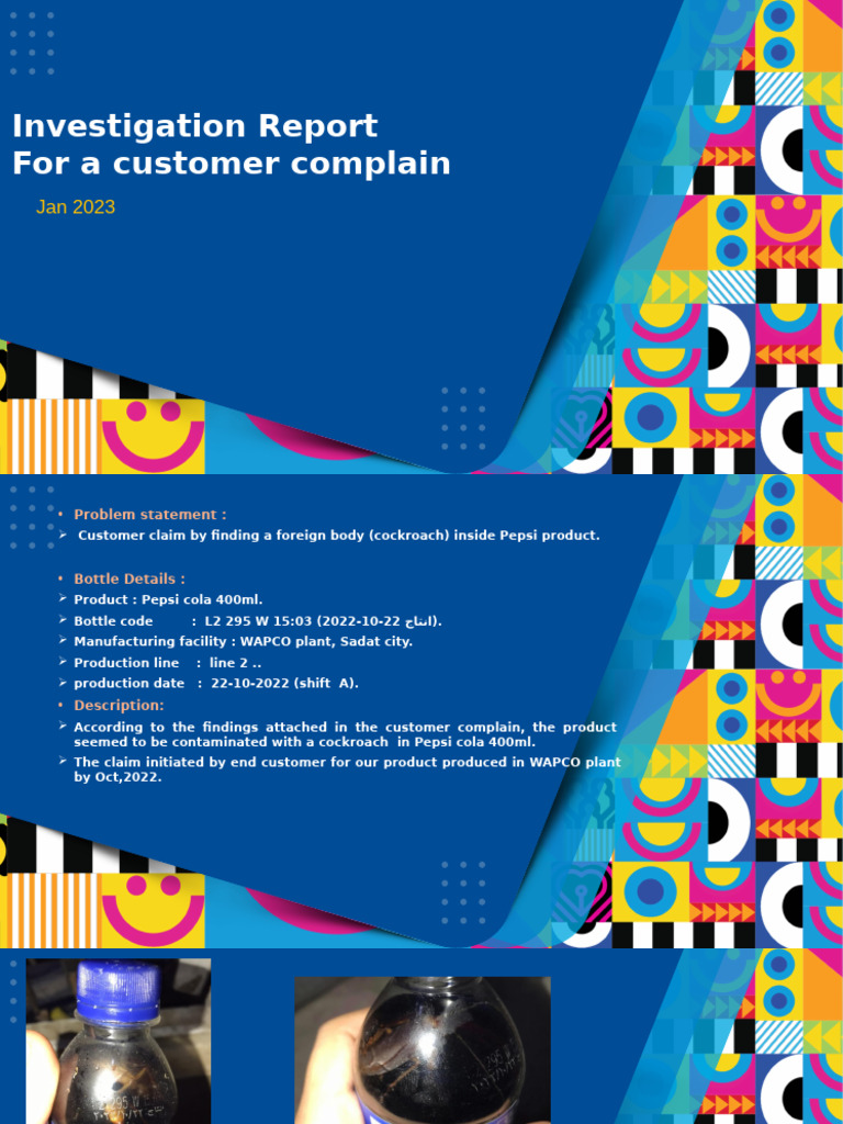 Investigation Report | PDF