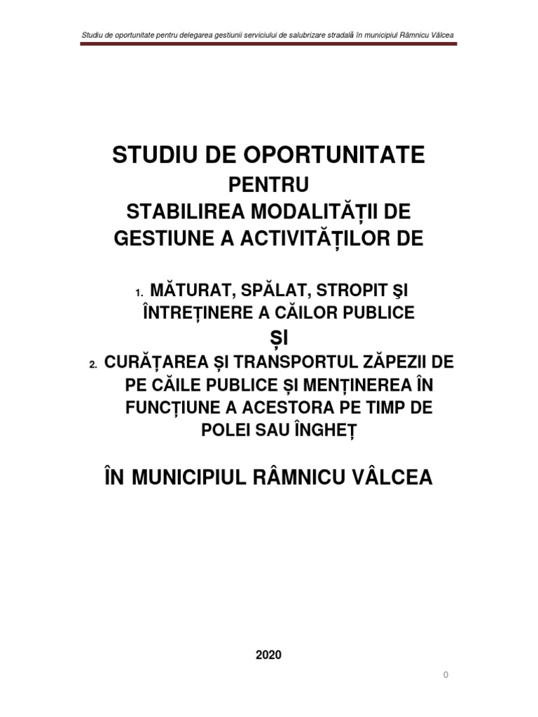 Studiu de Oportunitate | PDF