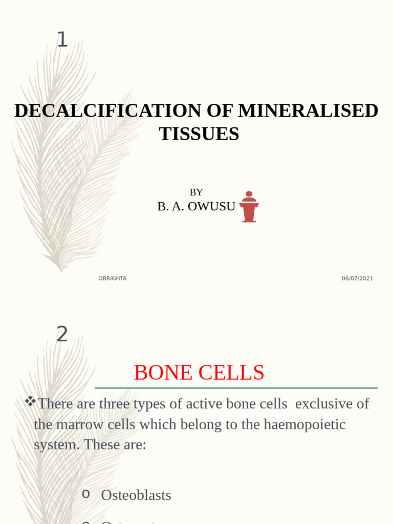 Decalcification | PDF