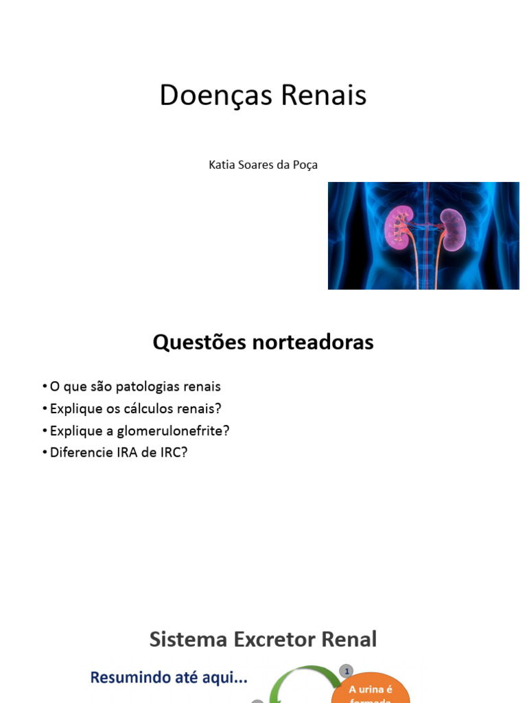 Doenças Renais | PDF