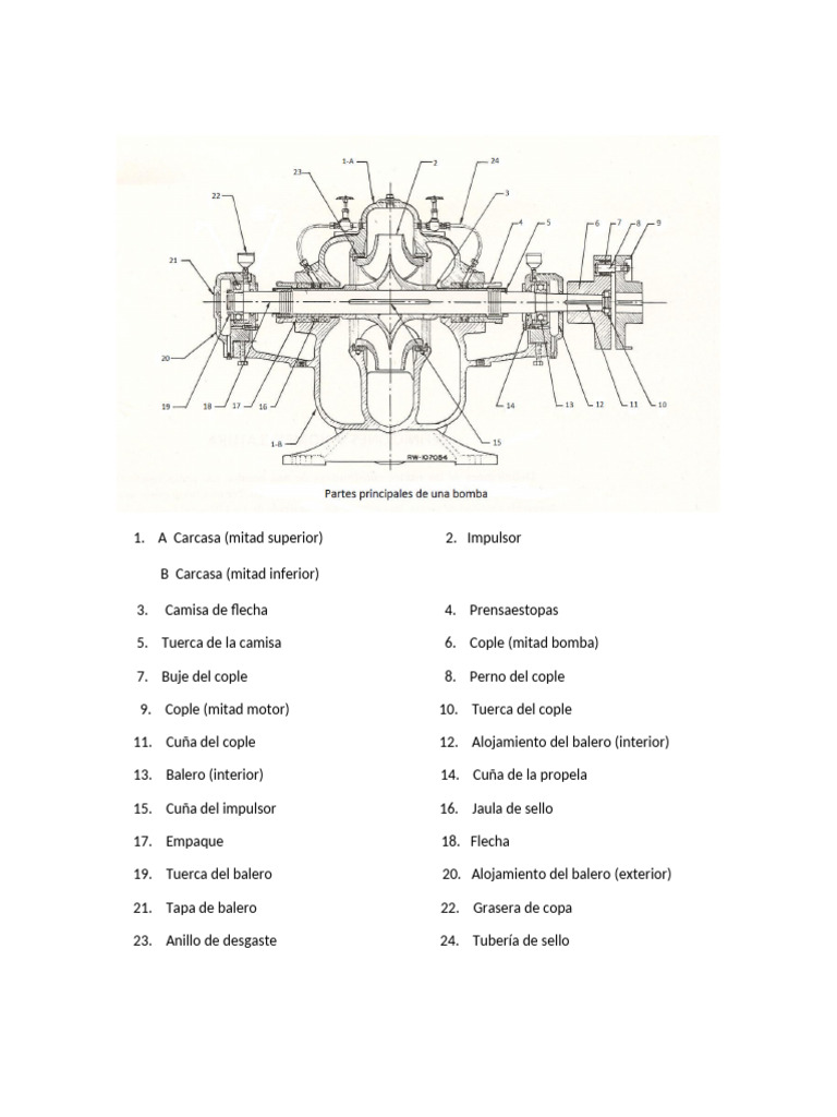 Partes de una bomba | PDF