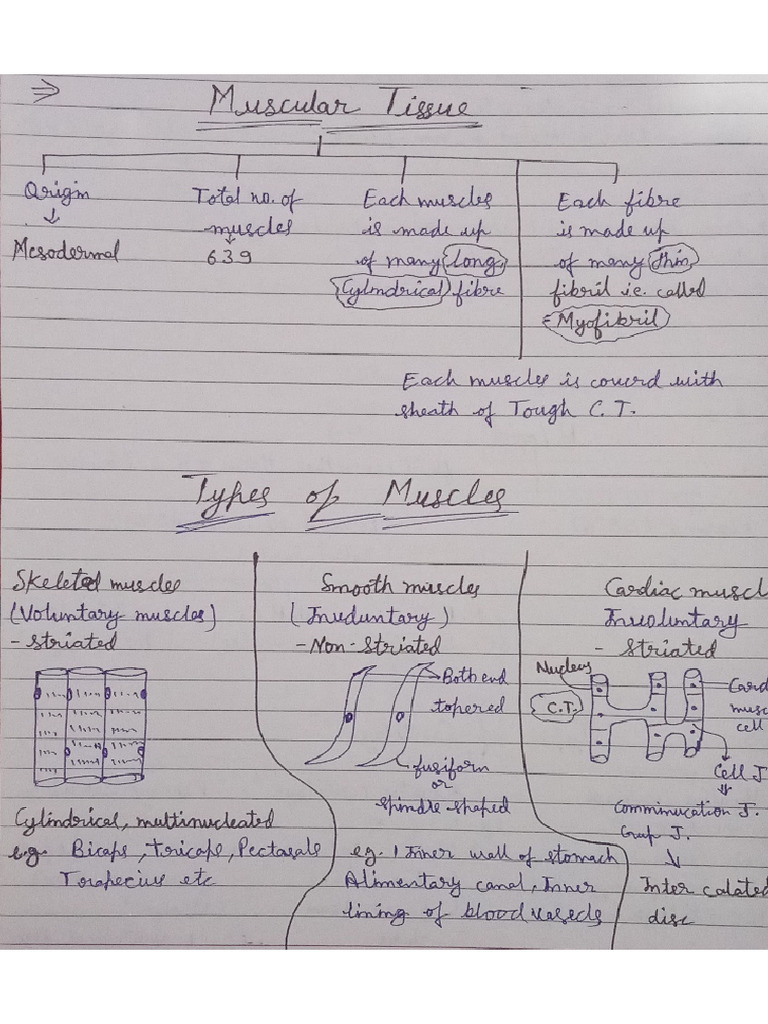 Image To PDF y DJ Ewwwww | PDF