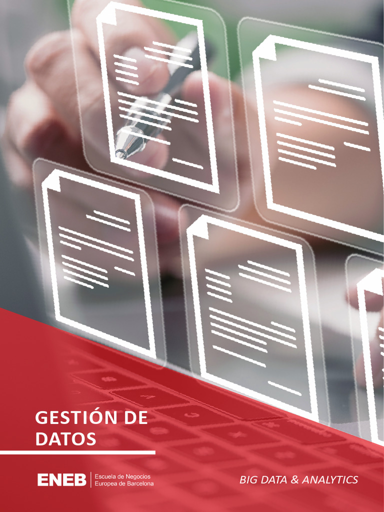 Gestión de Datos - ENEB | PDF