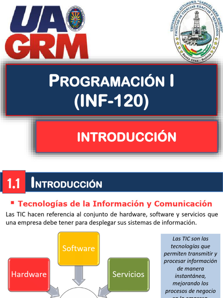 PROG1 Introduccion | PDF