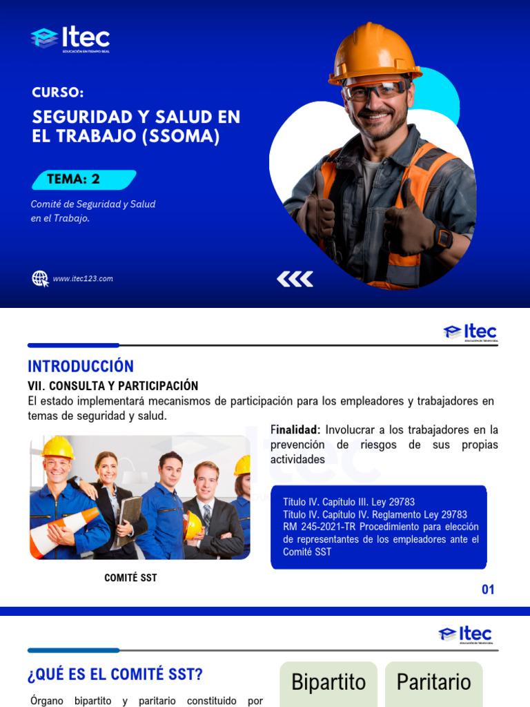 Tema 2 - Comité de Seguridad y Salud en El Trabajo. | PDF