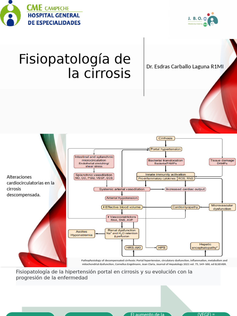 Fisiopatología de La Cirrosis | PDF