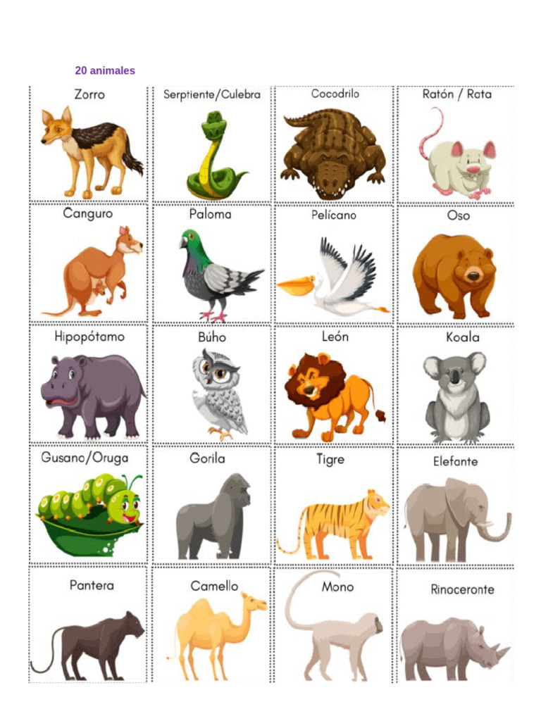 20 animales y 20 objetos con imagenes | PDF