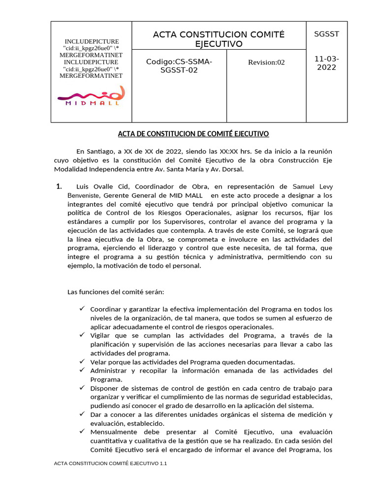 1.1 Acta Constitucion Comite Ejecutivo | PDF