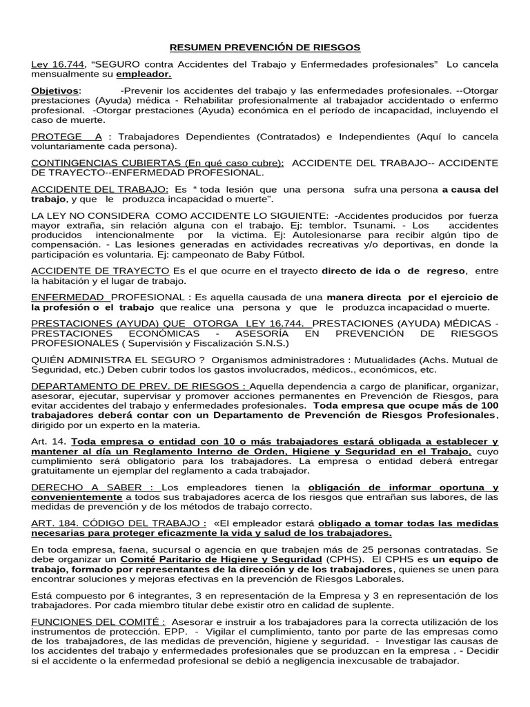 Resumen Prev. de Riesgos | PDF