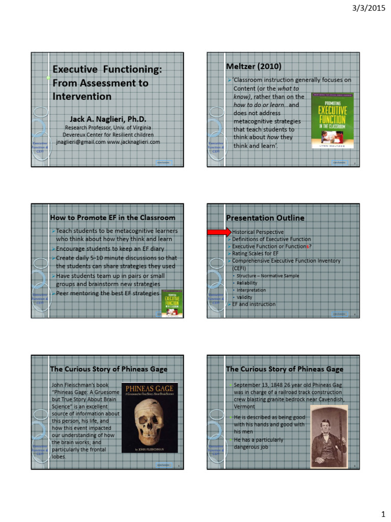 Assessment of Executive Function Using The Cefi | PDF