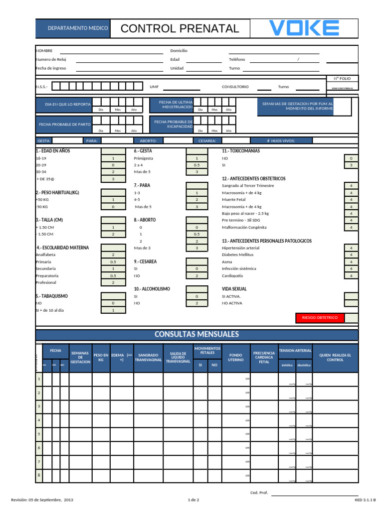 Voke Cont Pren 51 Control Prenatal | PDF