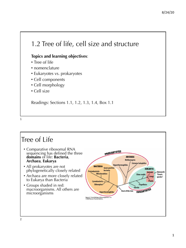 1.2 Tree of life cell size cell structure | PDF