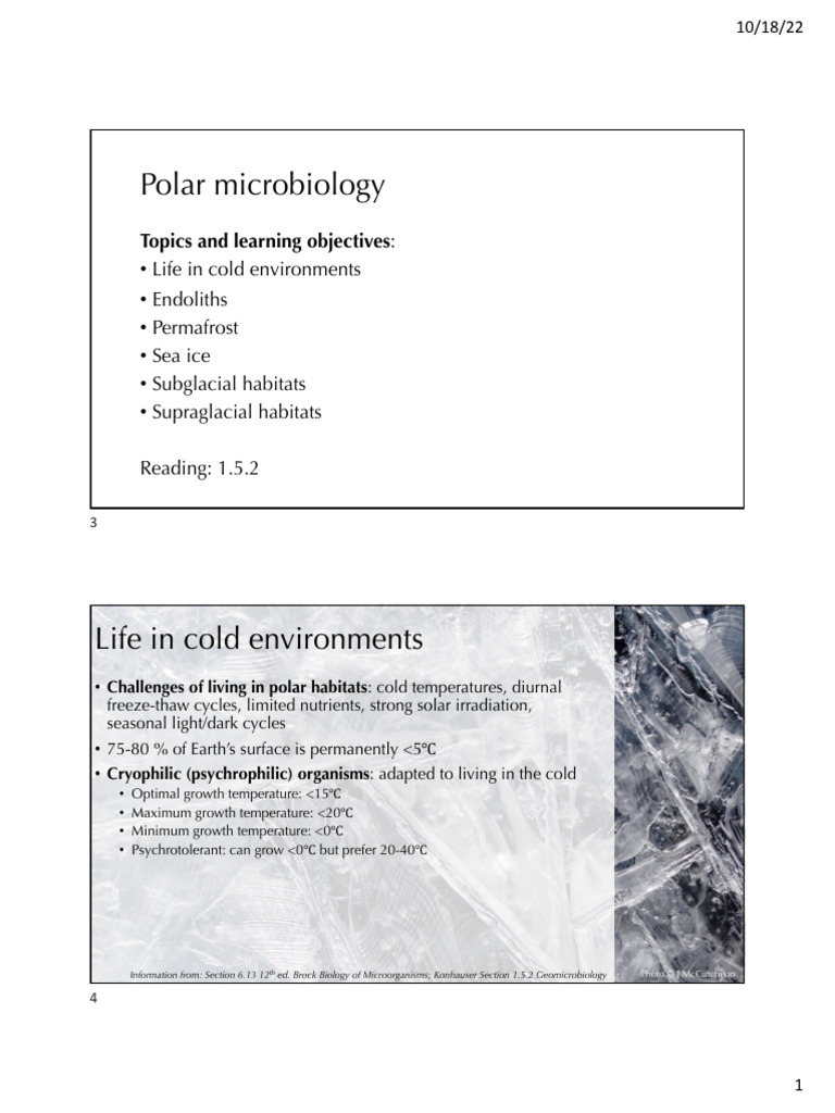 9.1 Polar Microbiology | PDF