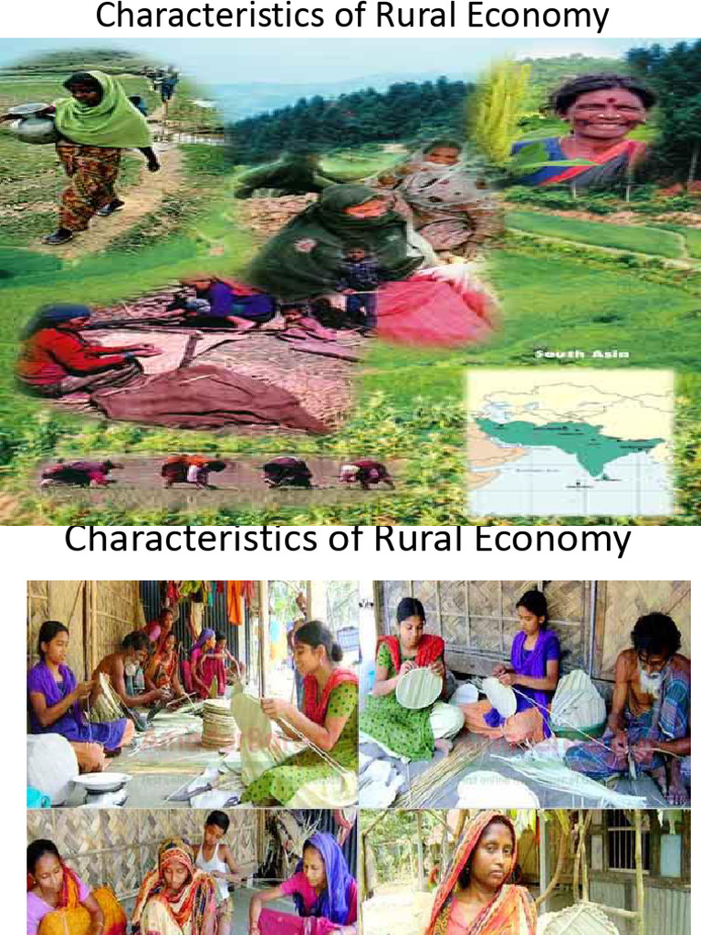 Characteristics of Rural Economy | PDF