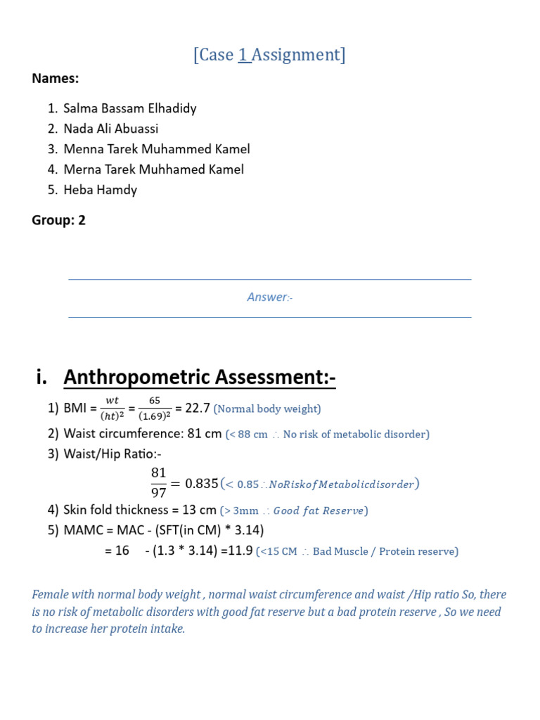 Salma Bassam (Case 1 Assignment) | PDF