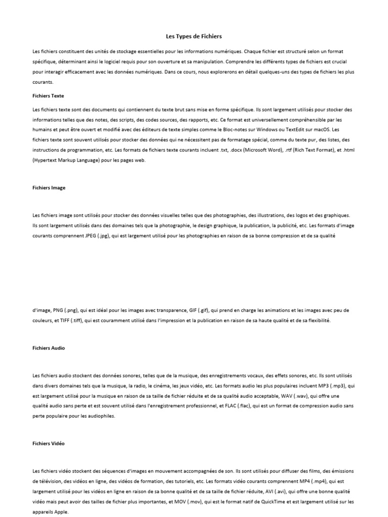 Les Types de Fichiers | PDF
