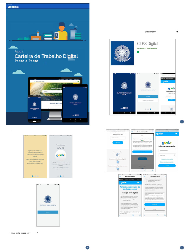 Manual Ver Baixa CTPS - Digital | PDF | Career & Growth