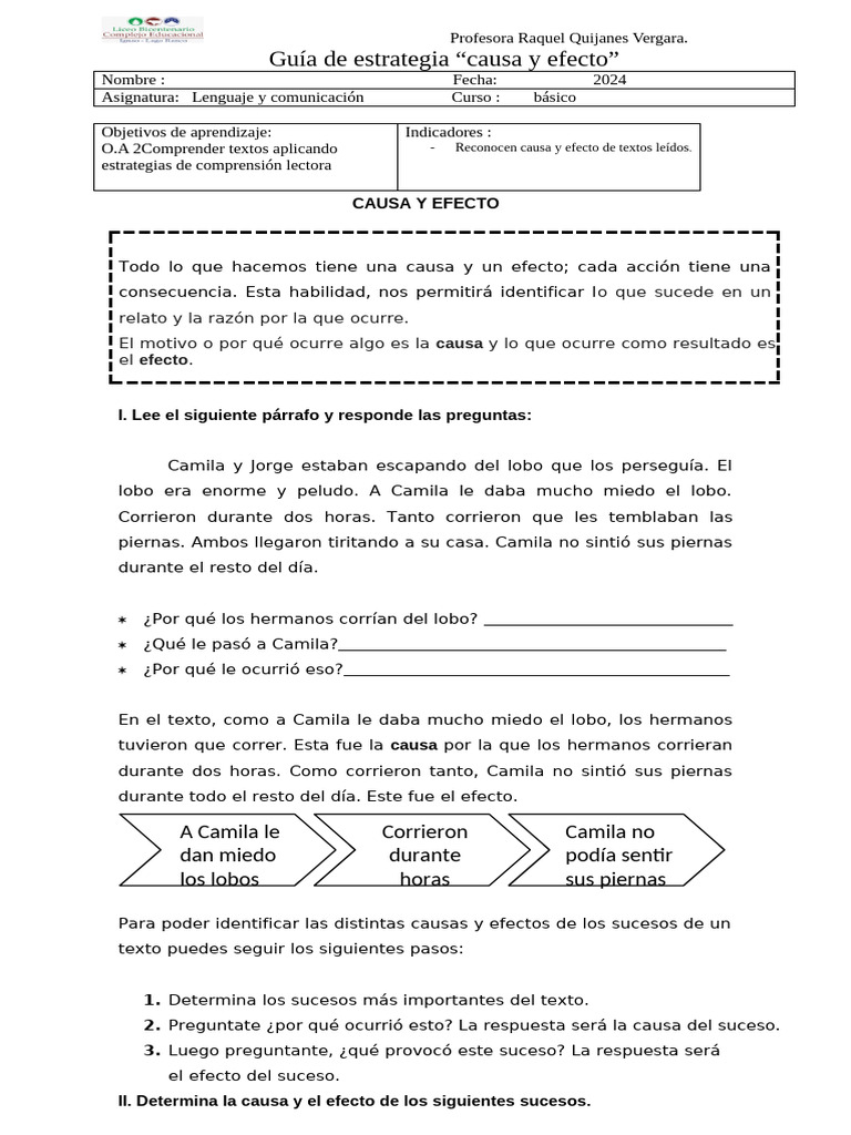 Causa y Efecto | PDF