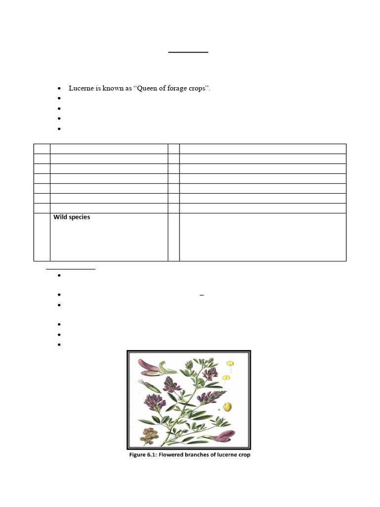 Lucerne | PDF