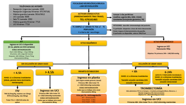 NUEVO PROTOCOLO CÓDIGO ICTUS | PDF