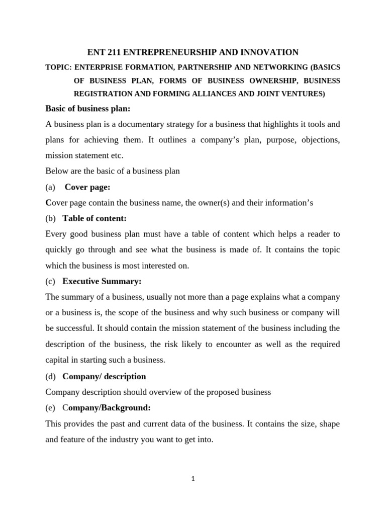 ENT 211 Business Plan 2024 | PDF