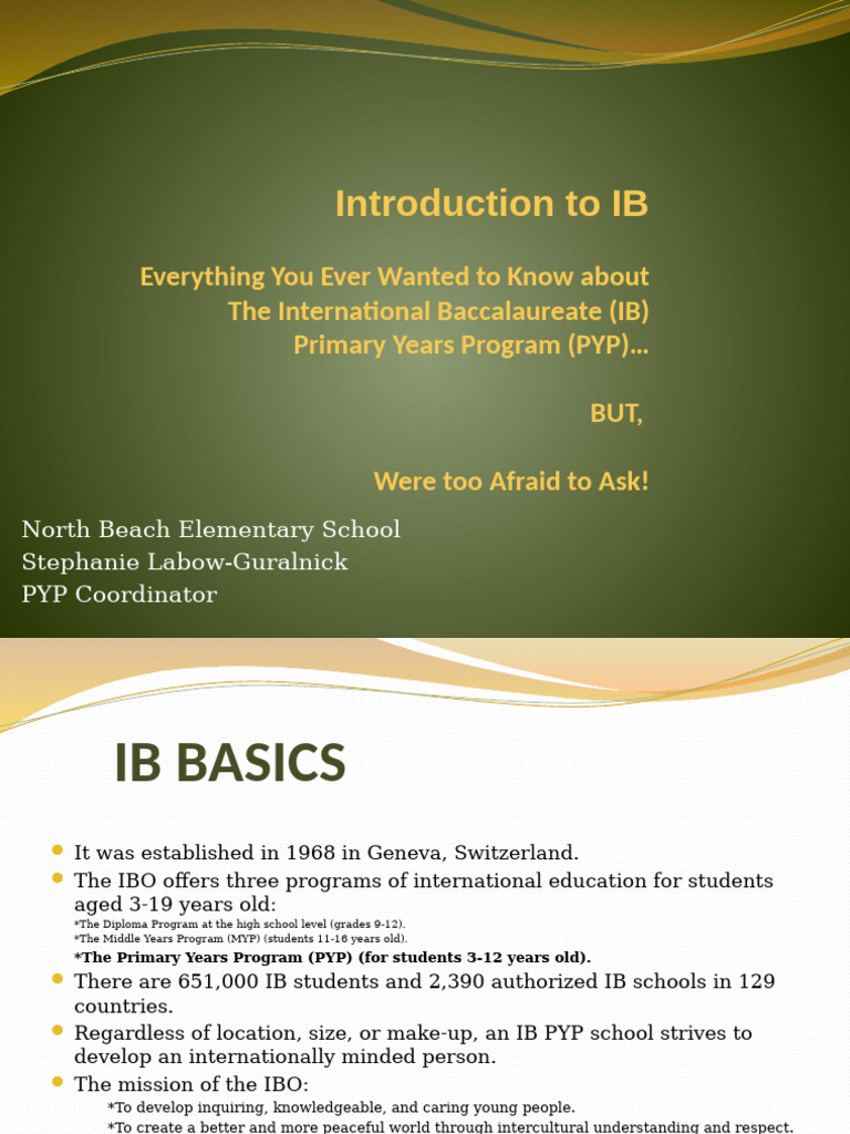 IB power point | PDF