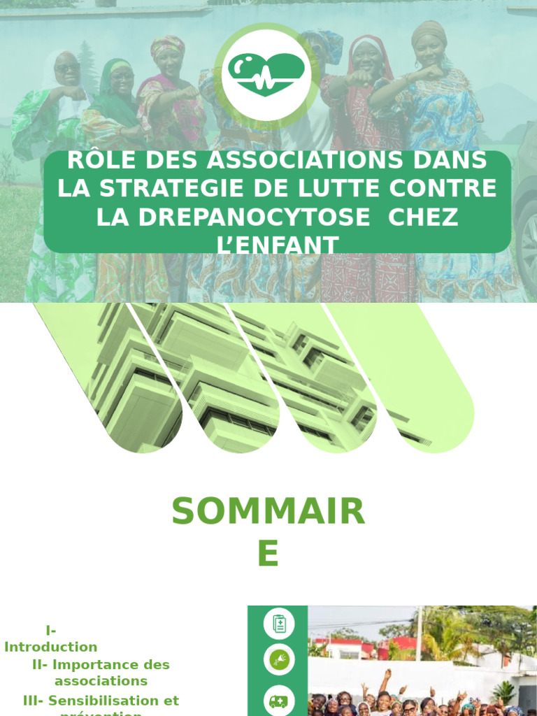 Presentation Drepa v3 | PDF