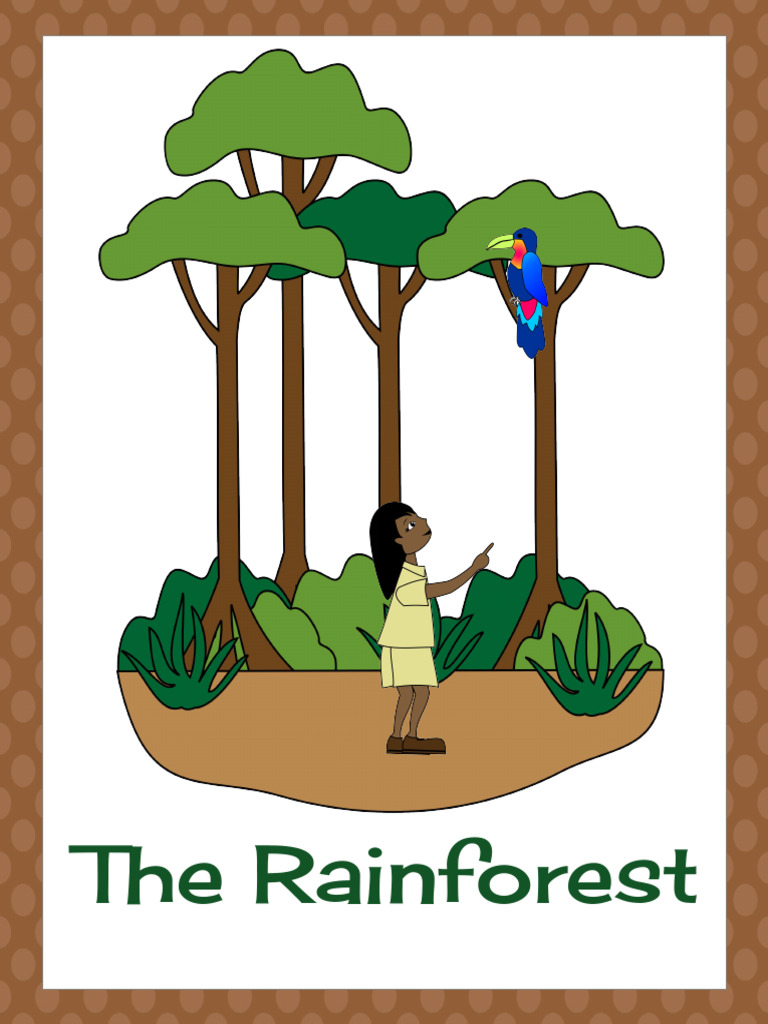 Rainforest Bundle | PDF