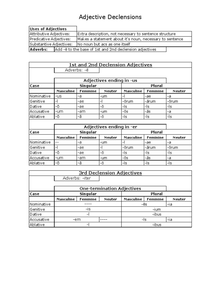 Latin Adjective Declensions Guide | PDF