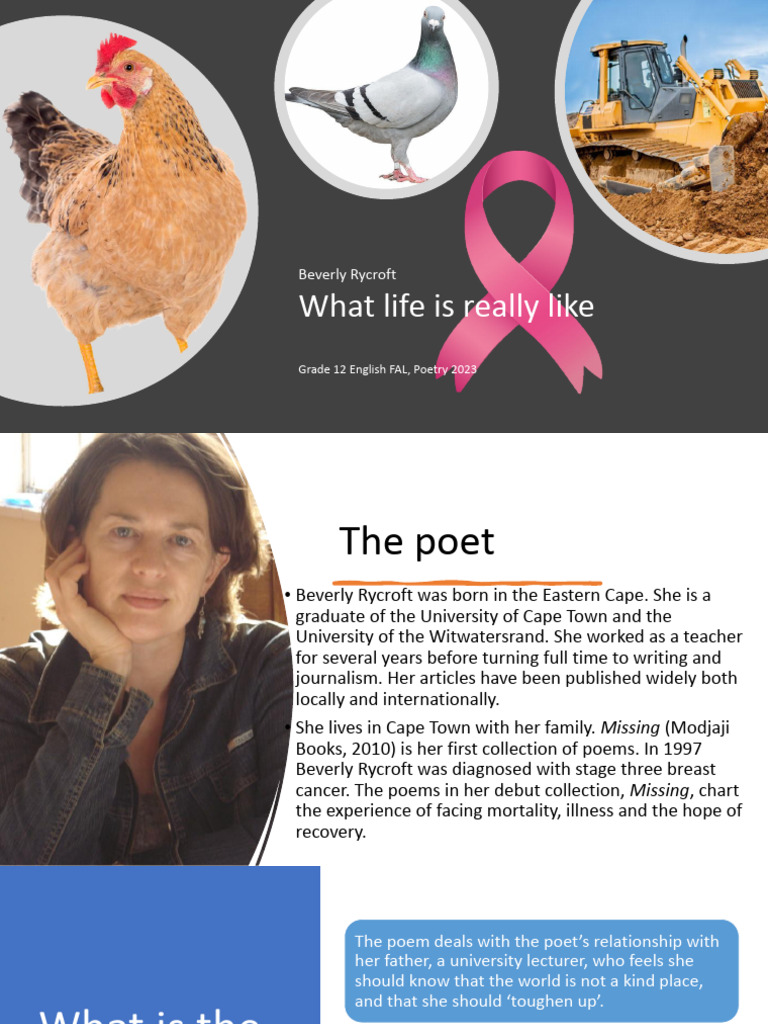 What Life Is Really Like | PDF